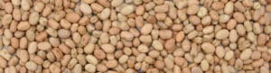 Faba Beans | ADM Agri