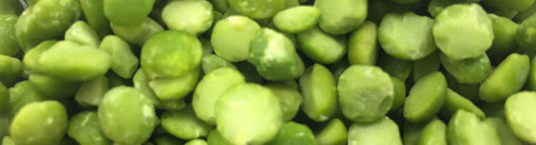 Faba Beans | ADM Agri