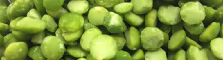 Maple peas - Agri