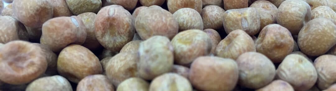 Maple peas - Agri