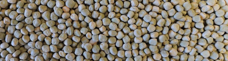 Maple peas - Agri