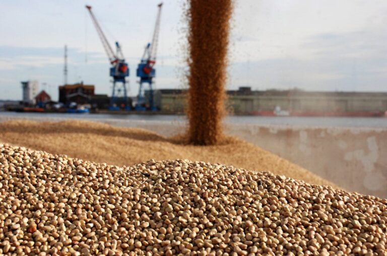 Grain Trading | ADM Agri