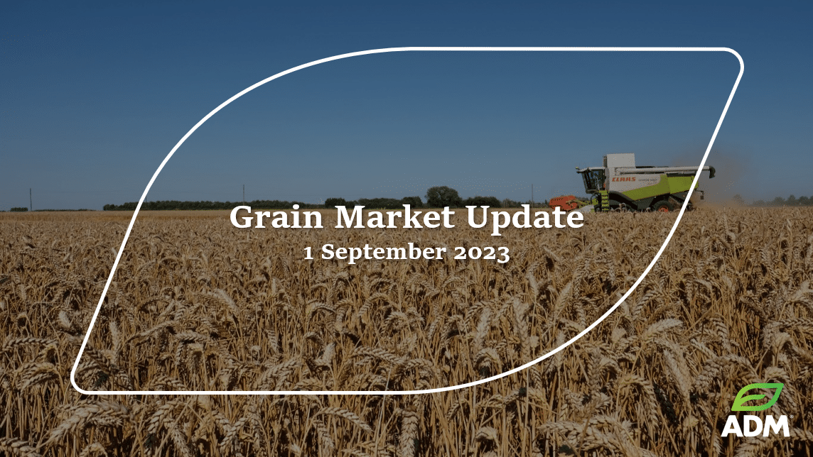 Grain Market Update - Agri